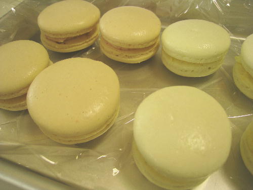 ケーキコース基礎クラス☆第17回【マカロン】 ～ ABC Cooking Studio: bluenote